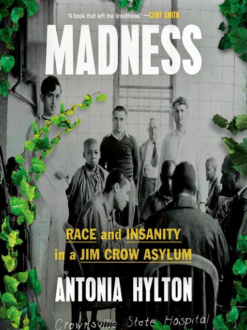 Madness - Book Review - Dr. Stacey-Ann Baugh