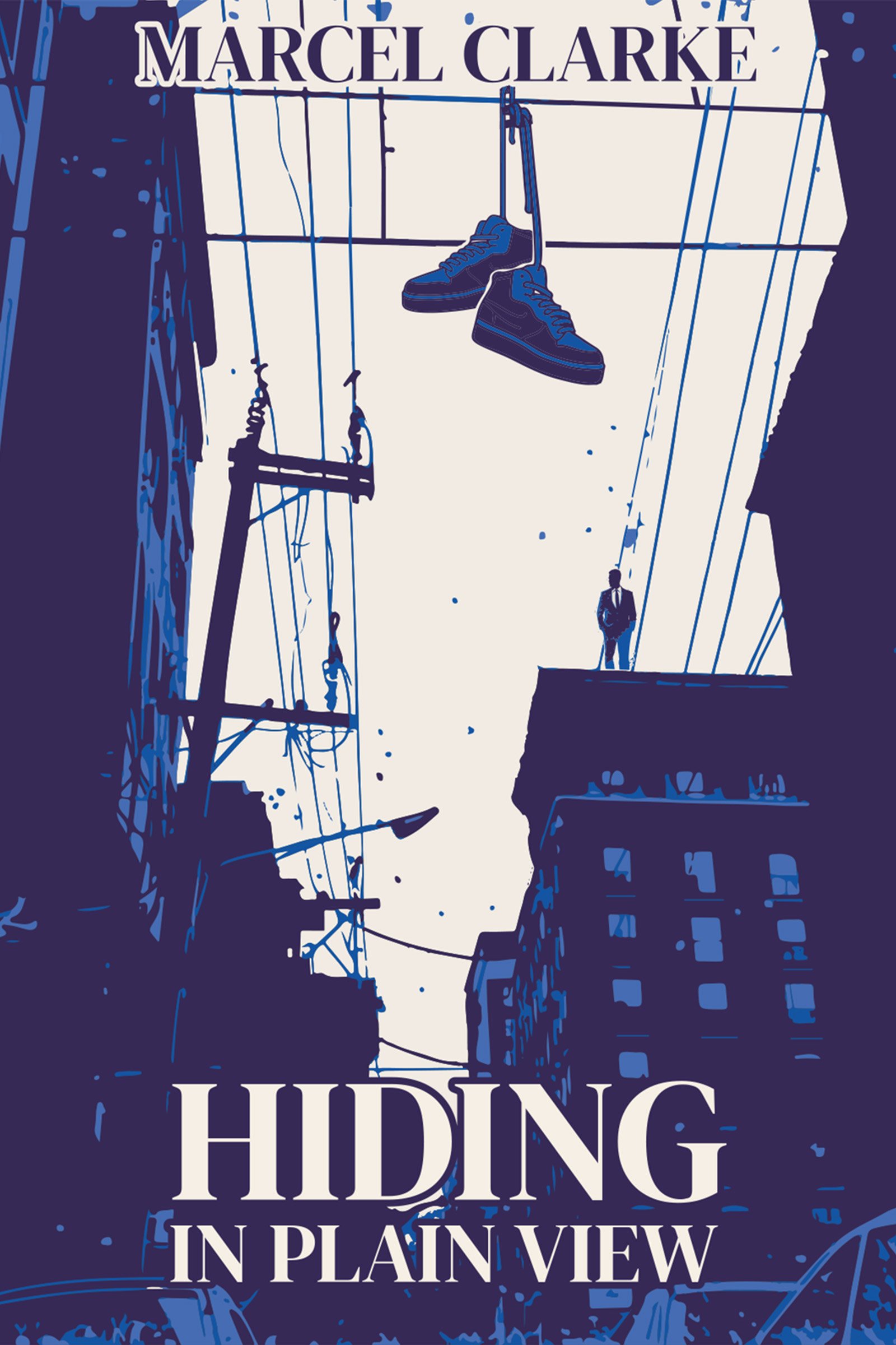 Hiding in Plain View - Book Spotlight - Dr. Stacey-Ann Baugh