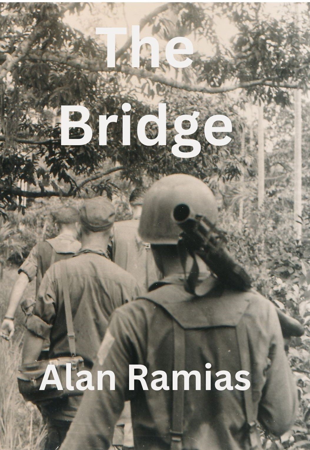 The Bridge - Book Spotlight - Dr. Stacey-Ann Baugh